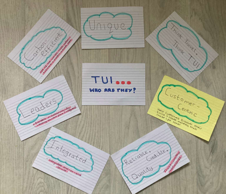 APPLY NOW: EVERYTHING To Know About TUI & The TUI Pilot Cadet Programme ...